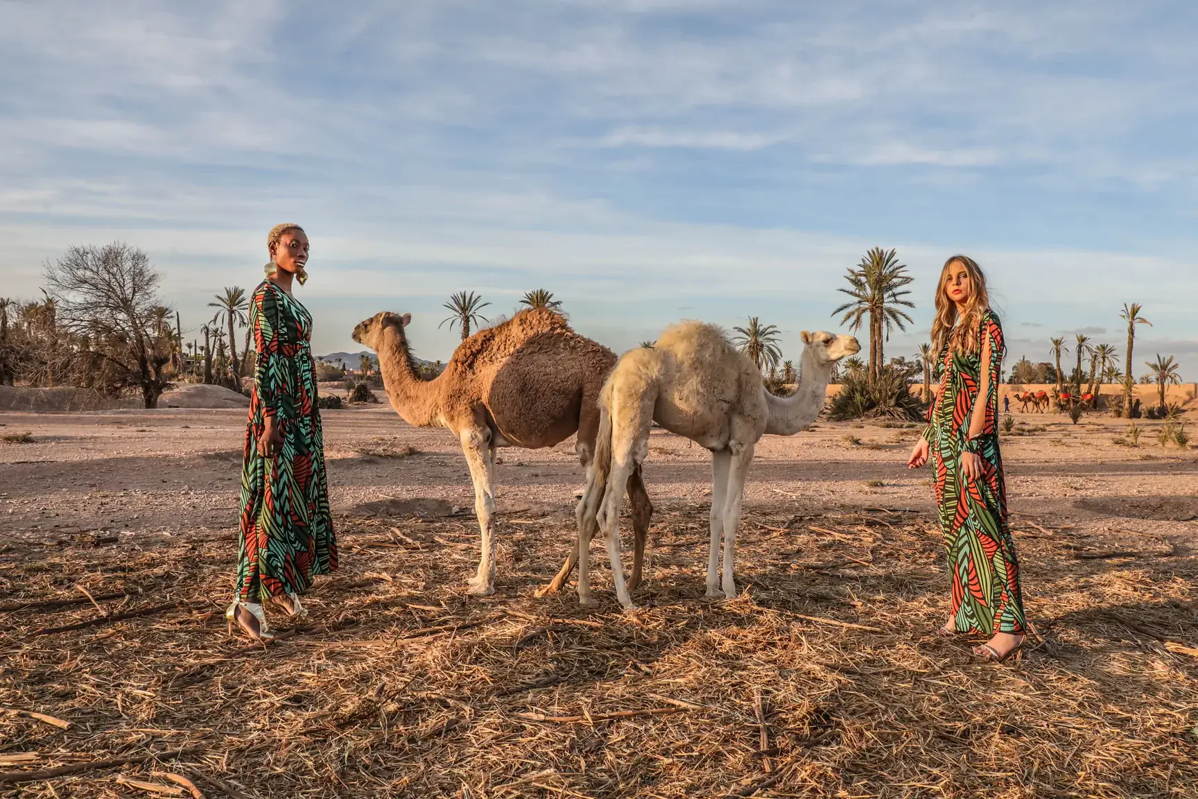 Fashion design Archives - Vévé Design Marrakech